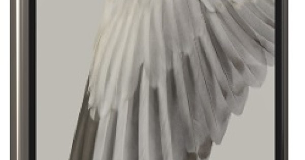 Google Pixel Fold Front LCD Screen With Digitizer Module Black - Cellspare