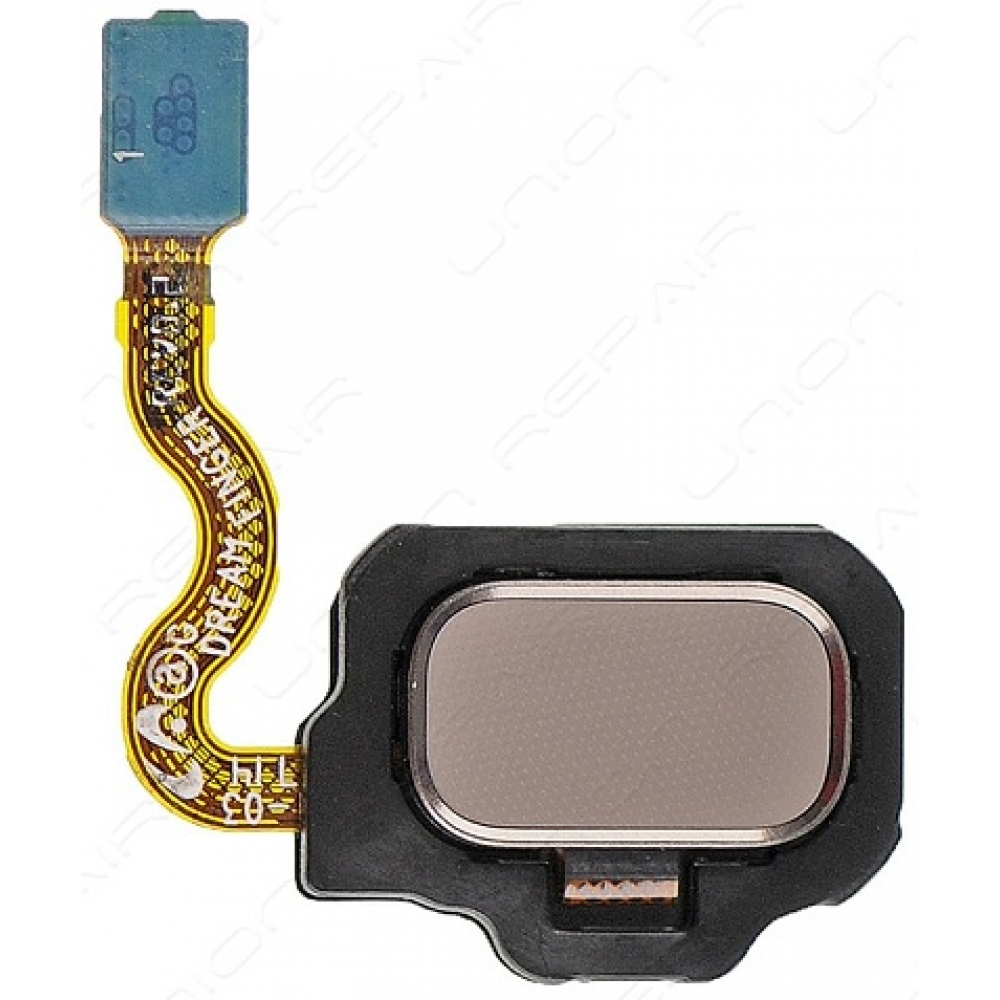 Samsung Galaxy S8 Plus Fingerprint Gold - Cellspare