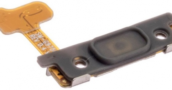 Samsung Galaxy S10 Plus Power Button Flex Cable - Cellspare